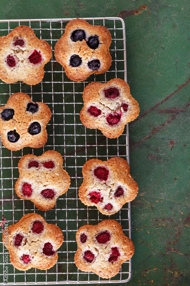 berry financier foto de Stock | Adobe Stock
