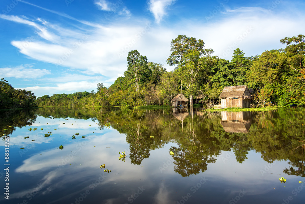 Small wooden shack in the Amazon rain forest with a beautiful ...
