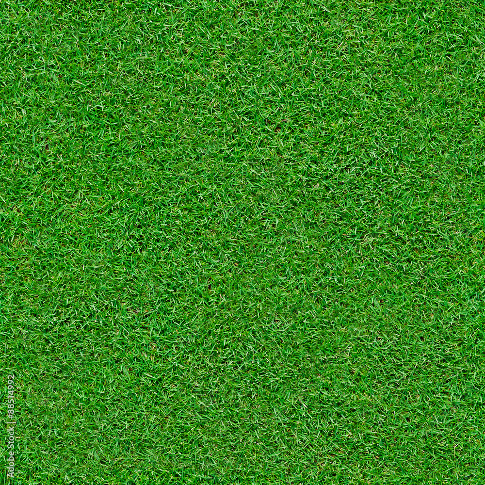 Seamless green grass background Stock Photo | Adobe Stock