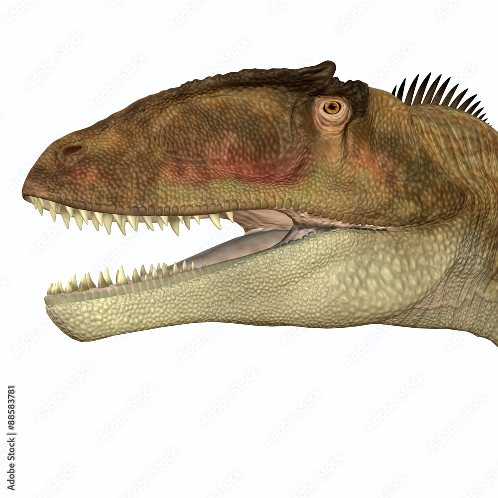 Carcharodontosaurus Head - Carcharodontosaurus was a carnivorous ...