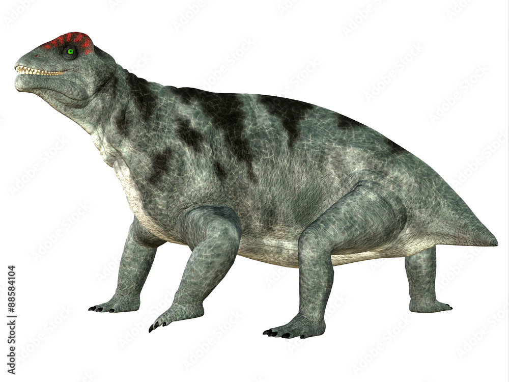 Moschops Side Profile - Moschops was a primeval herbivorous dinosaur ...