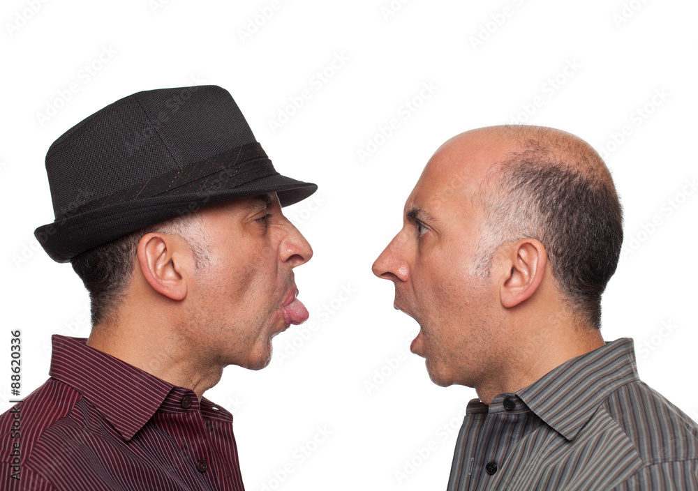 Identical twins fighting Stock-Foto | Adobe Stock