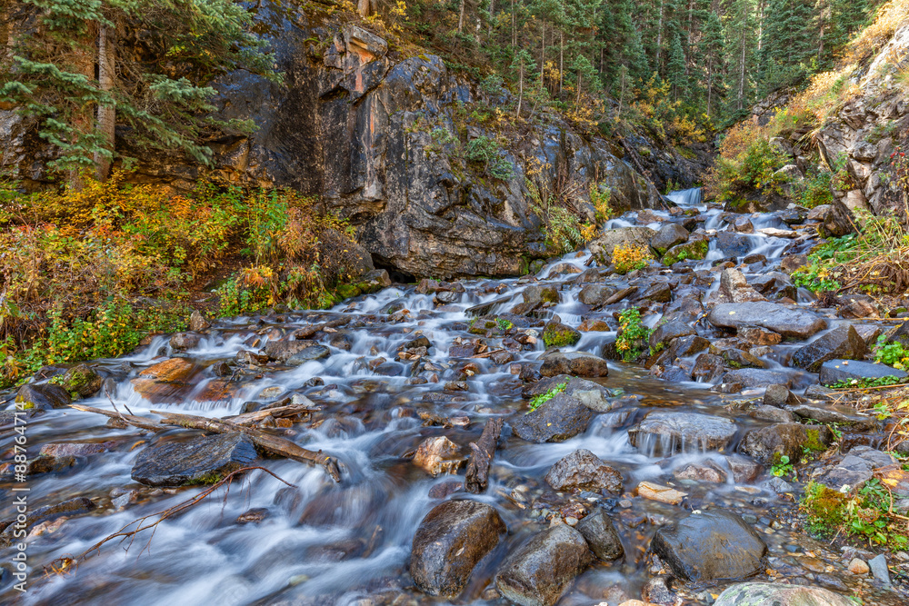 Mountain Stream In Fall