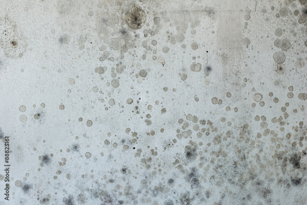 Dirty, stained and worn wall texture background Stock Photo | Adobe Stock