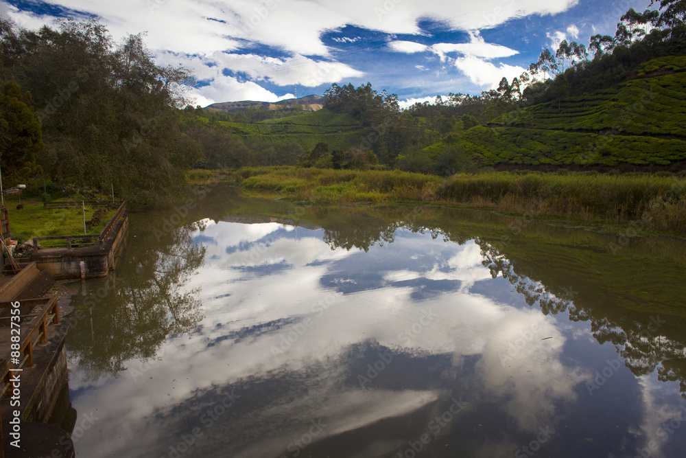 Tea plantation and river in Munnar, India Stock Photo | Adobe Stock