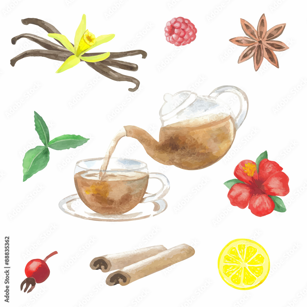 Tea hand drawn watercolour set Stock Vector | Adobe Stock