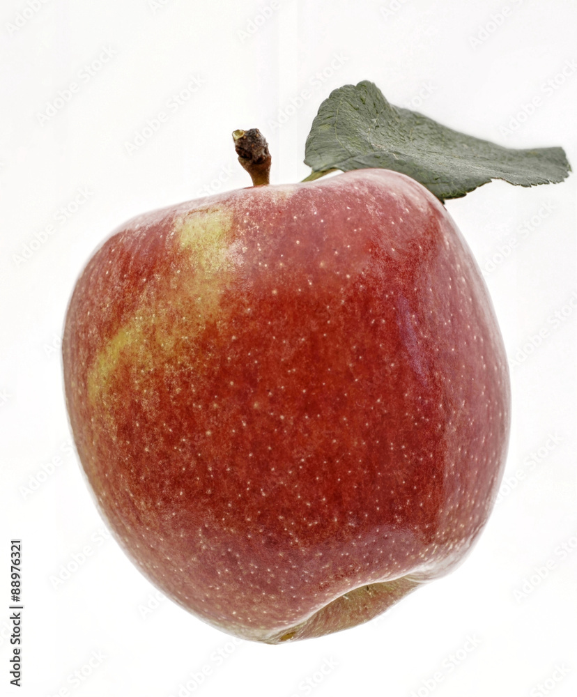 reifer roter Apfel Jonagold zum Freistellen Stock Photo | Adobe Stock