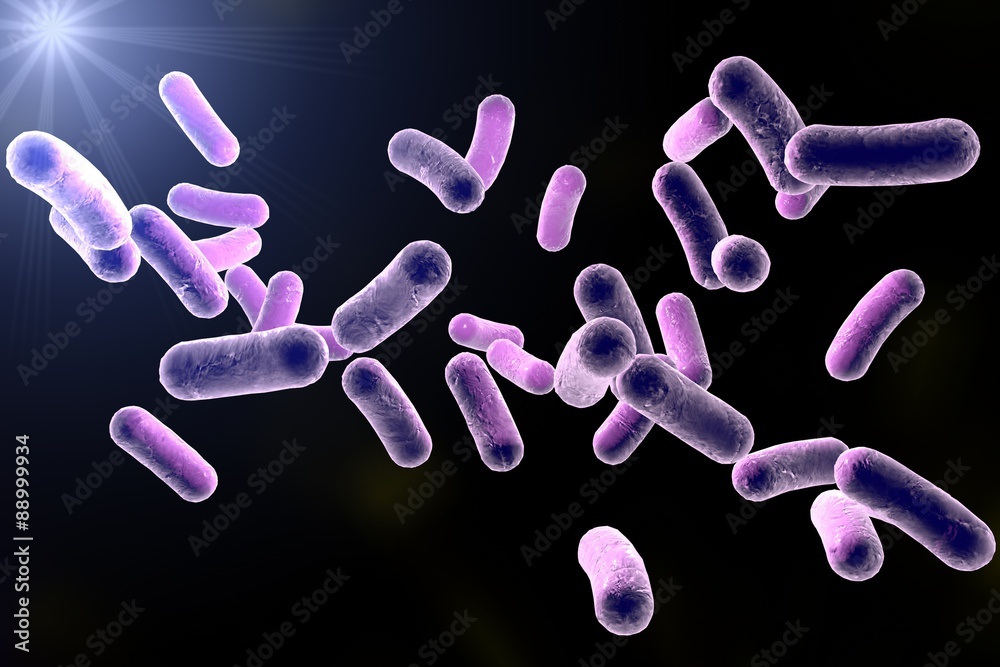 Microscopic illustration of bacteria, model of bacteria, realistic ...