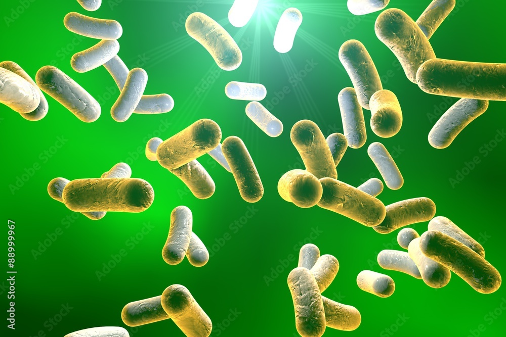 Microscopic illustration of bacteria, model of bacteria, realistic ...