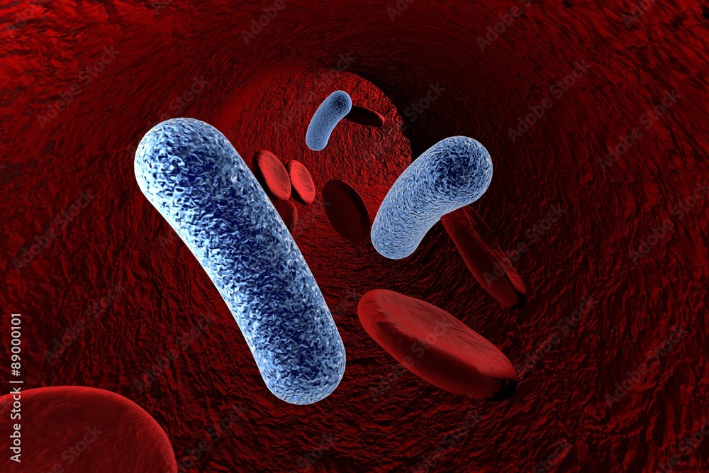 Three-dimensional drawing of rod-shaped bacteria in blood vessel with ...