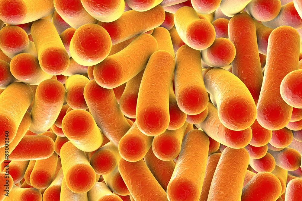 Microscopic illustration of bacteria, model of bacteria, realistic ...