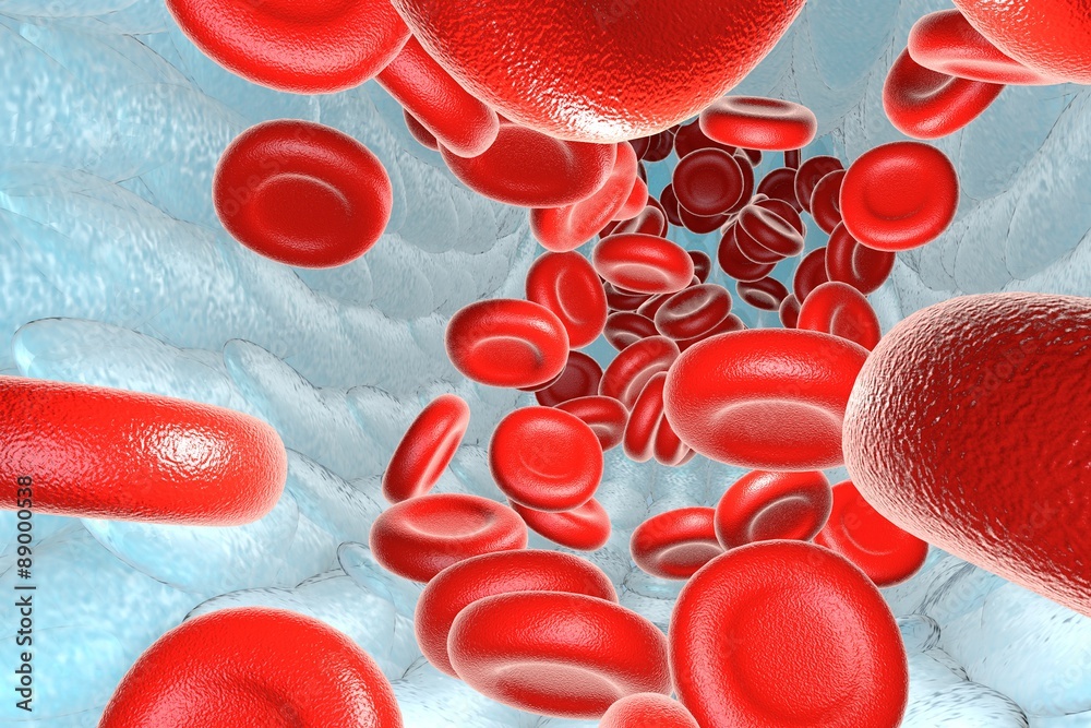 Microscopic view of blood vessel with red blood cells, background with ...