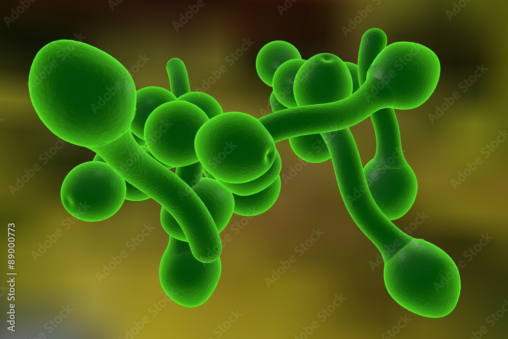 Digital illustration of fungi Candida albicans which cause candidiasis ...