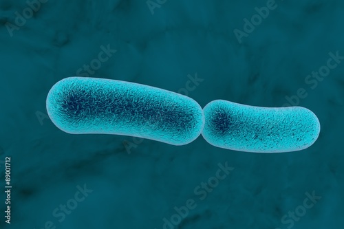 Diplobacillus Bacteria