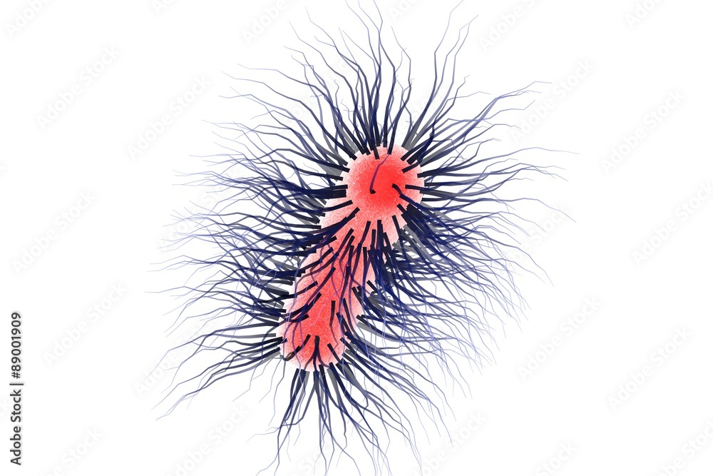 Microscopic view of Escherichia coli, Salmonella, enteric bacteria ...