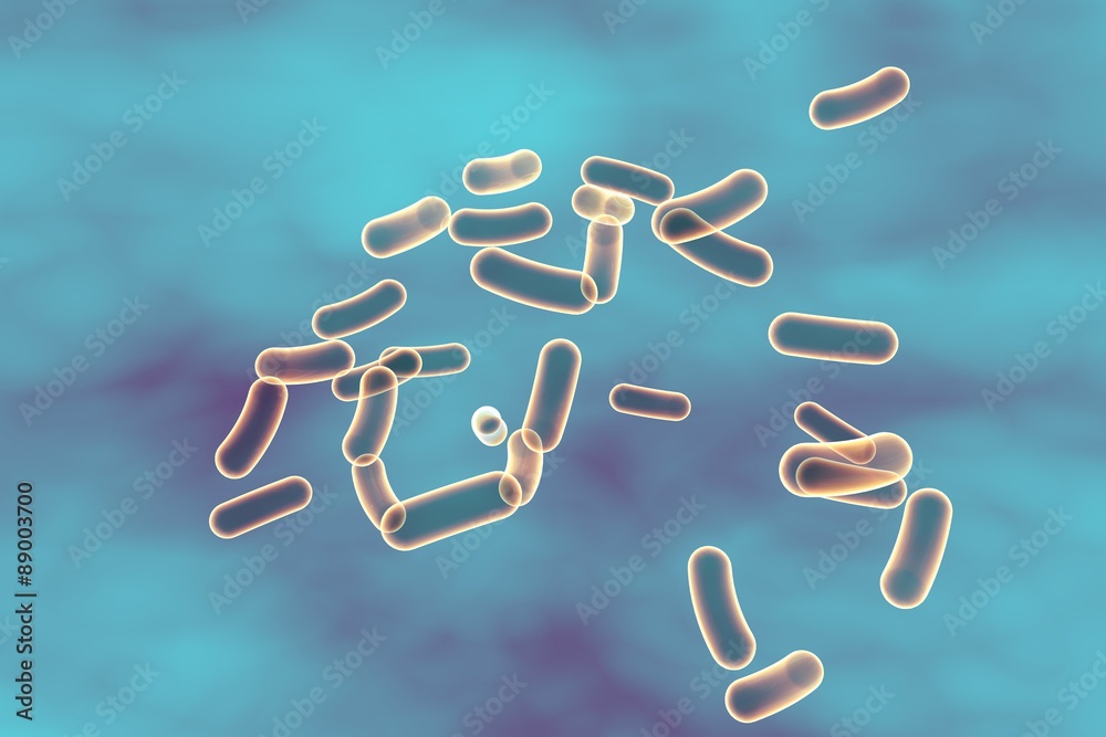Microscopic illustration of Salmonella, enteric bacteria, realistic ...