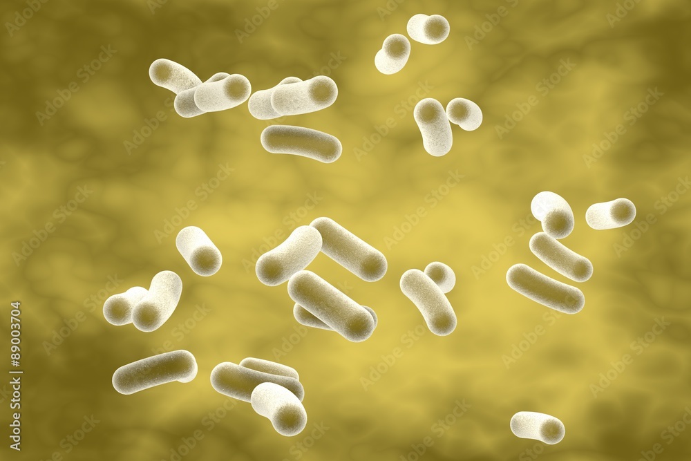 Microscopic illustration of Salmonella, enteric bacteria, realistic ...