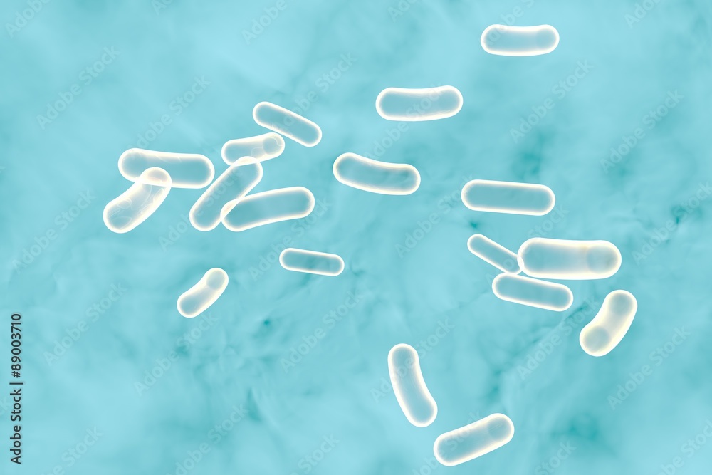 Microscopic illustration of Salmonella, enteric bacteria, realistic ...