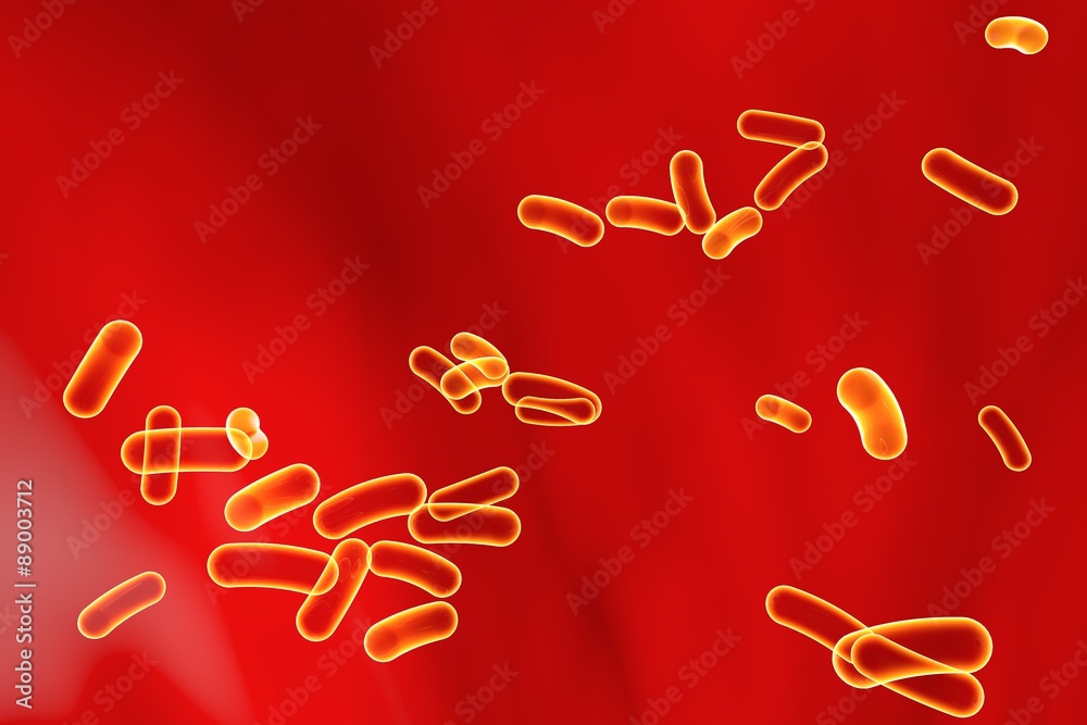 Microscopic illustration of Salmonella, enteric bacteria, realistic ...