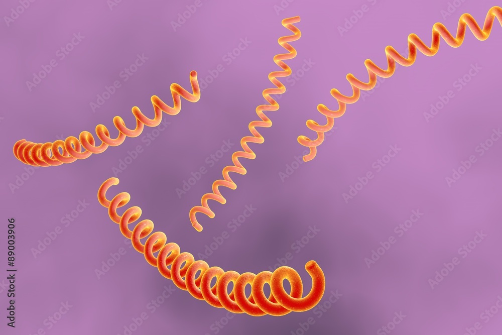 Digital illustration of Treponema pallidum on colorful background ...