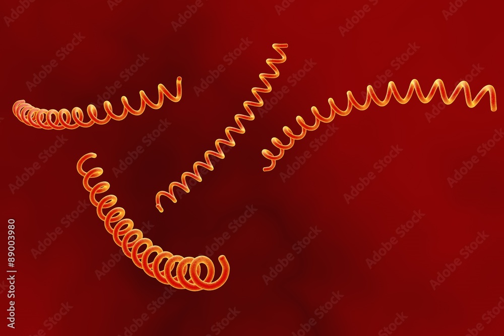 Digital illustration of Treponema pallidum on colorful background ...