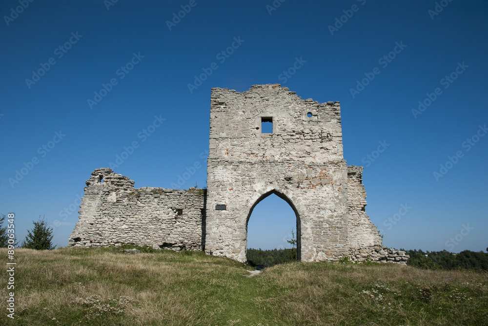 Ancient castle ruins (Ukraine, built in 12th century) Stock Photo ...