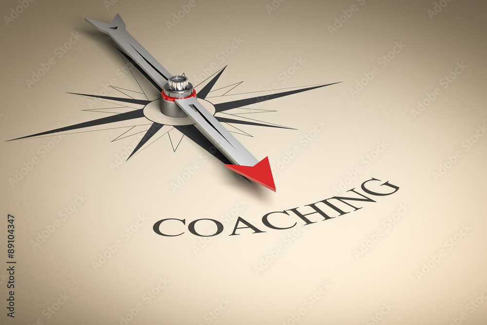 Compass / Coaching Stock-Illustration | Adobe Stock