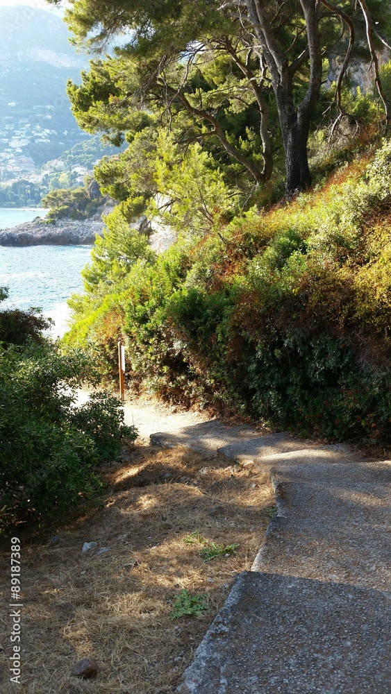 Promenade Le Corbusier au Cap Martin Stock Photo | Adobe Stock