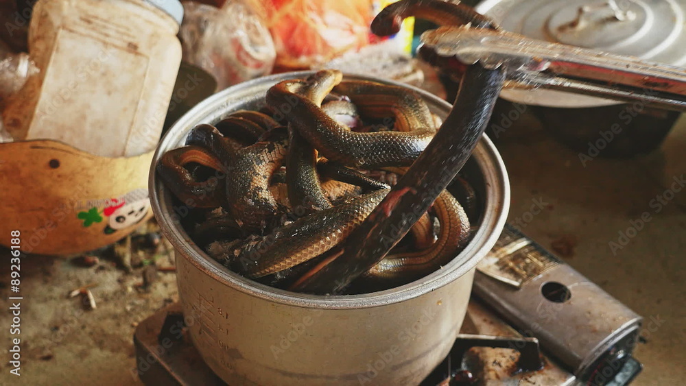 Cooked Snake