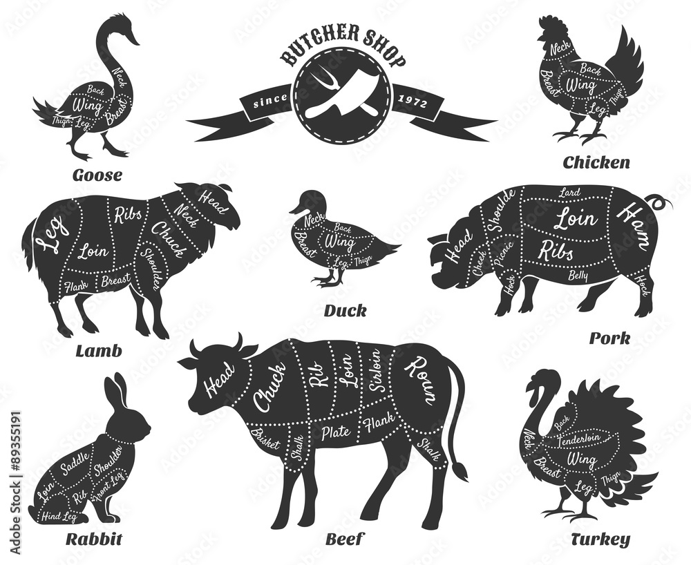Diagrams for butcher shop Stock Vector | Adobe Stock