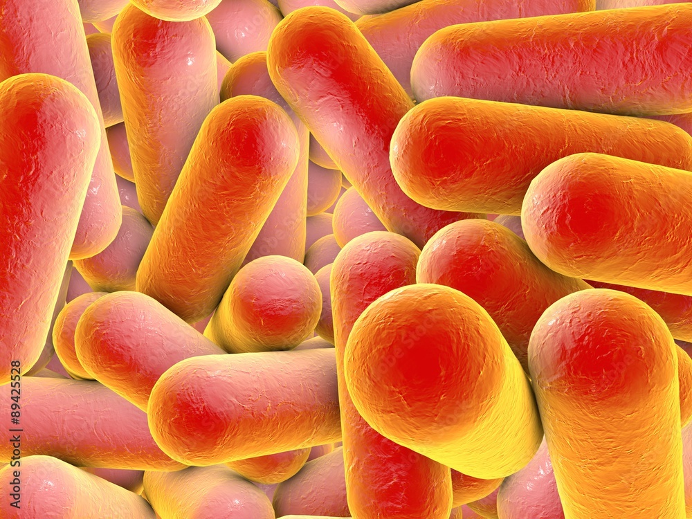 Digital illustration of bacteria, model of bacteria, realistic ...