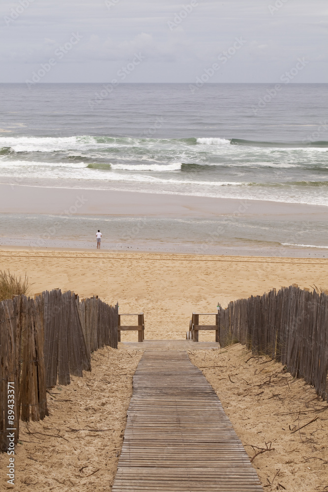 Dune Protection. On the Bay of Biscay, the local government does its ...