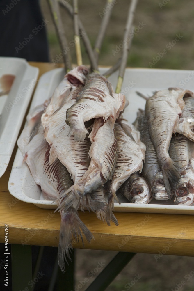 Sabre carp (Pelecus cultratus), a freshwater fish from Eastern Europe ...