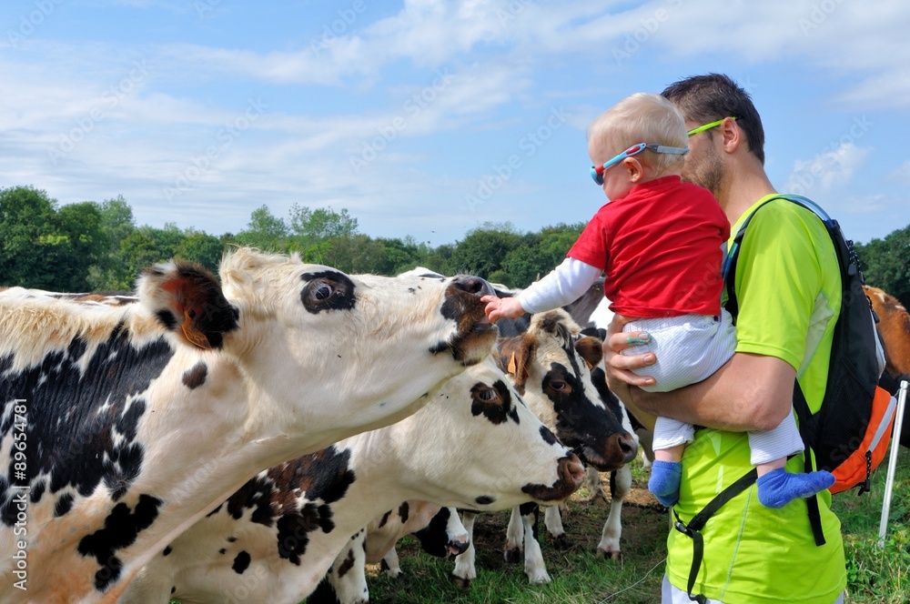 Jeune enfant découvre des vaches avec son père 素材庫相片 | Adobe Stock
