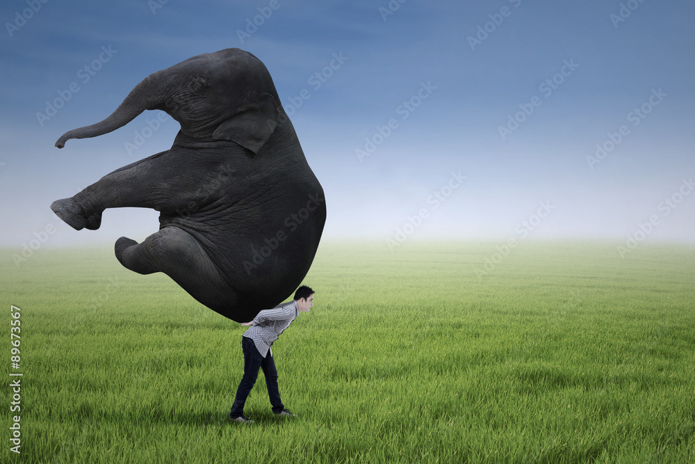 Businessman lifting heavy elephant Stock-Foto | Adobe Stock
