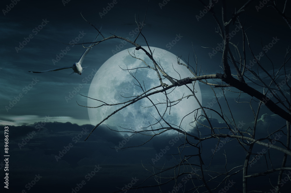 Spooky forest with full moon, dead trees, Halloween background Stock ...