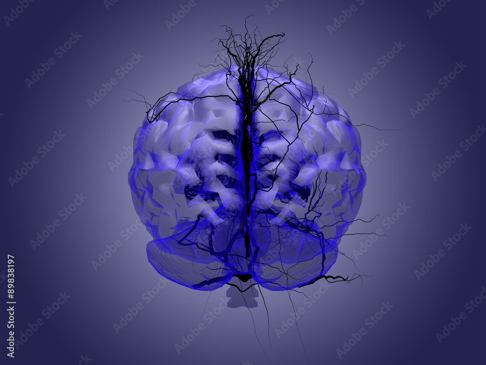 Brain root concept of a root growing in the shape of a human bra Stock ...