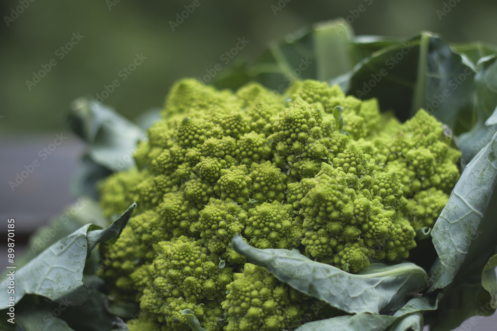 romanesco broccoli with logarithmic spirals with fibonacci numbe Stock ...