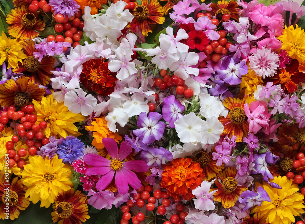Flower background. A background from cultivated flowers. Stock Photo ...