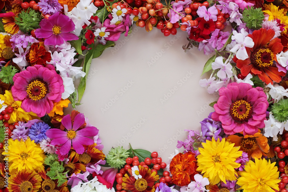 Flower background. A background from cultivated flowers. Stock Photo ...