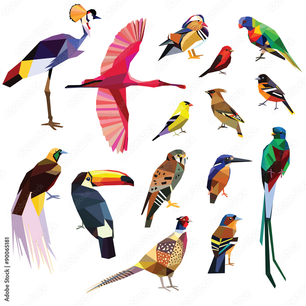 Birds-set colorful birds low poly design isolated on white background ...