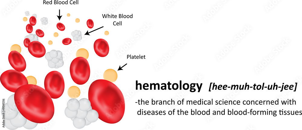 Hematology Definition Stock Illustration | Adobe Stock