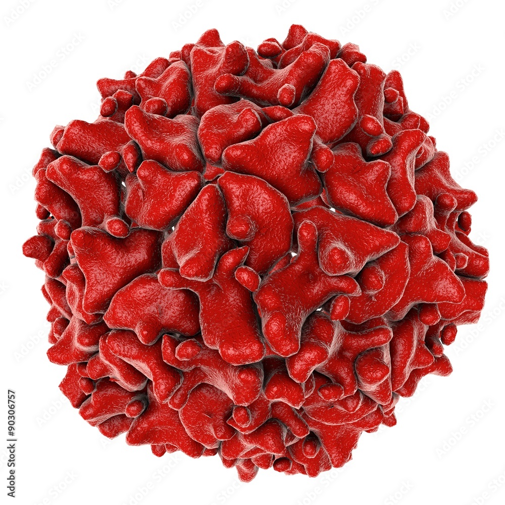 Poliovirus isolated on white background. A virus transmitted by drinking water and causes polio ...