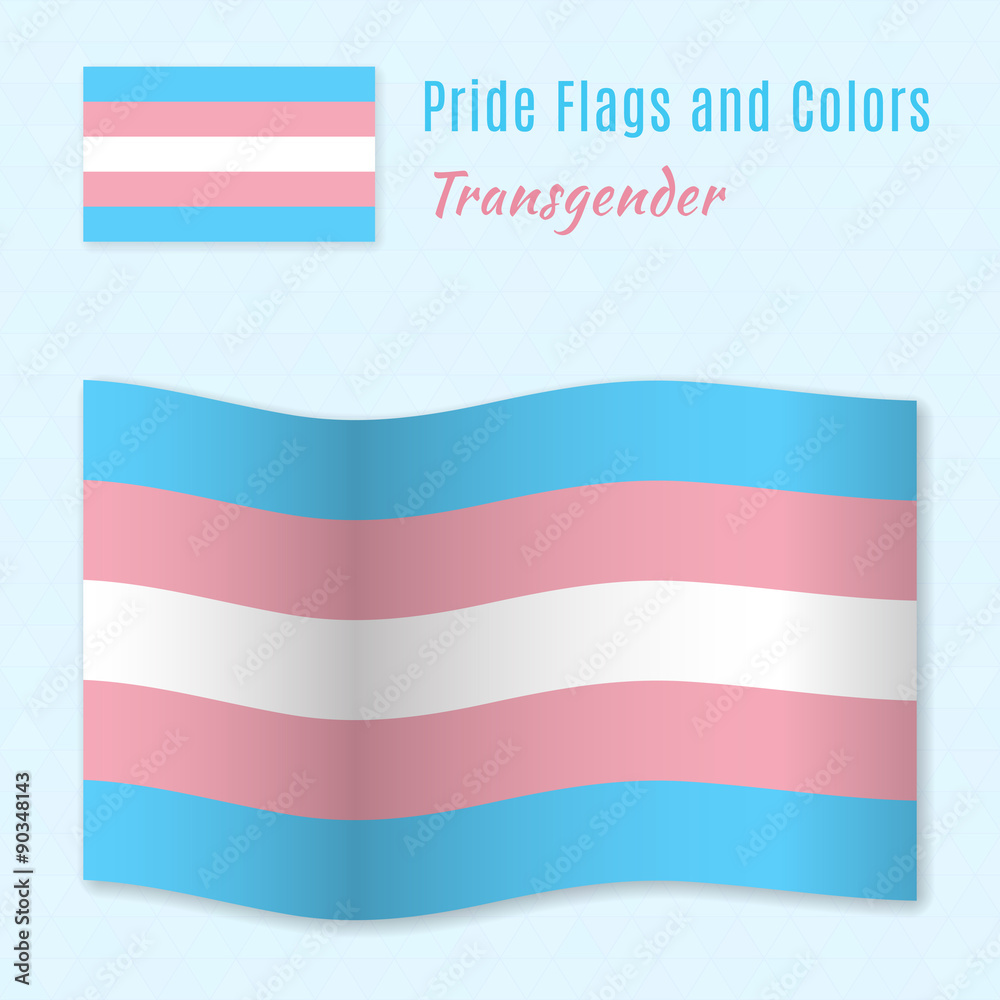 Transgender pride flag with correct color scheme Stock Vector | Adobe Stock