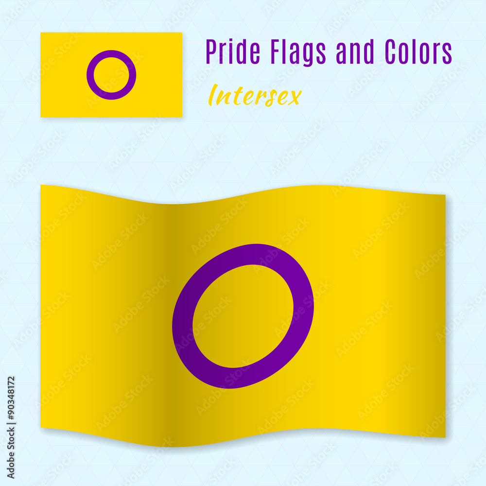 Intersex pride flag with correct color scheme Stock Vector | Adobe Stock