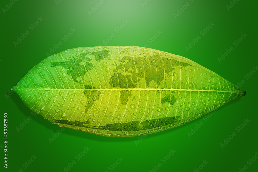 Green leaf environment concept save the earth. Stock Photo | Adobe Stock