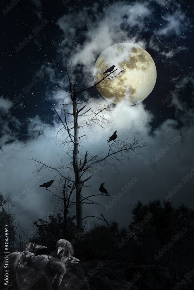 Night of the crows Stock Photo | Adobe Stock