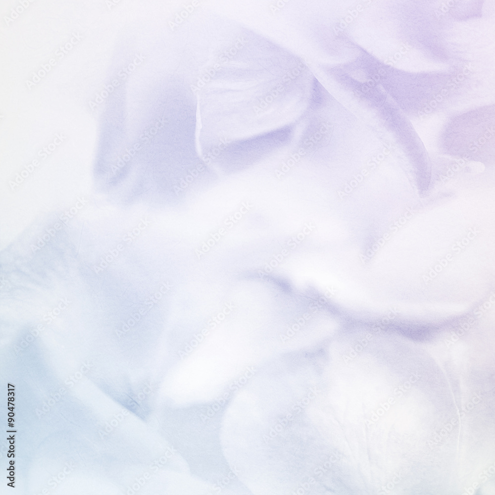 vivid color flower petals in soft color on mulberry paper texture for ...