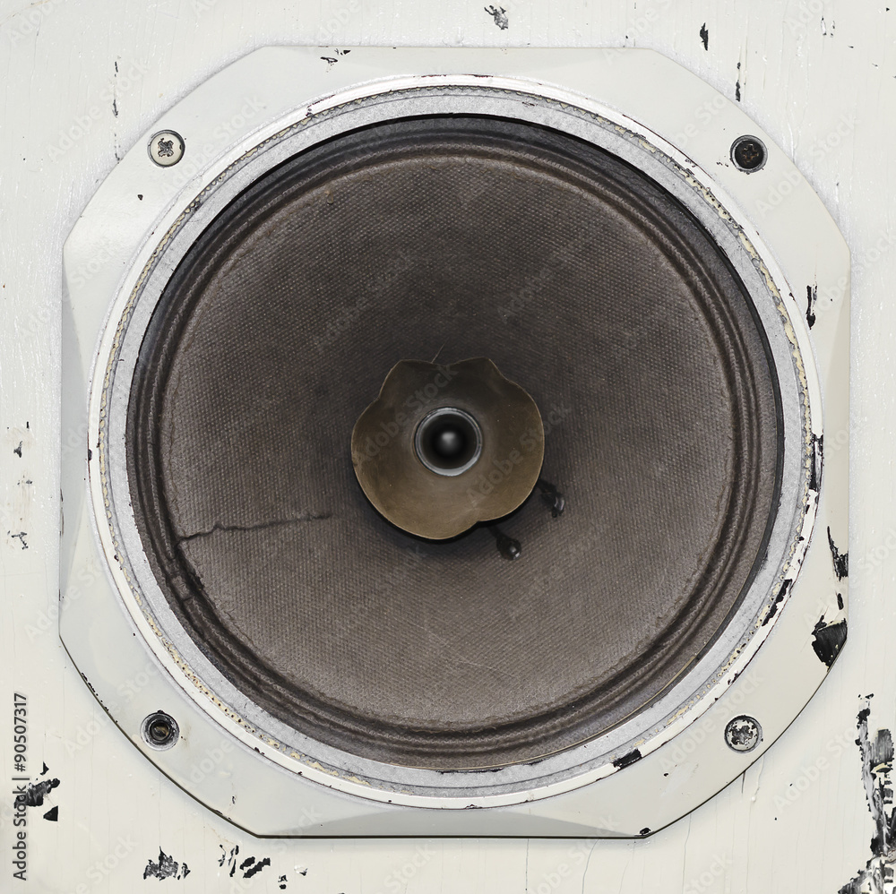 Busted Old Paper Cone Audio Speaker Closeup Stock Foto Adobe Stock