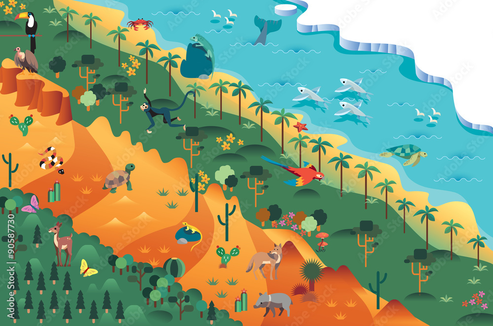 Biodiversidad desierto bosque selva oceano tundra Stock-illustration ...